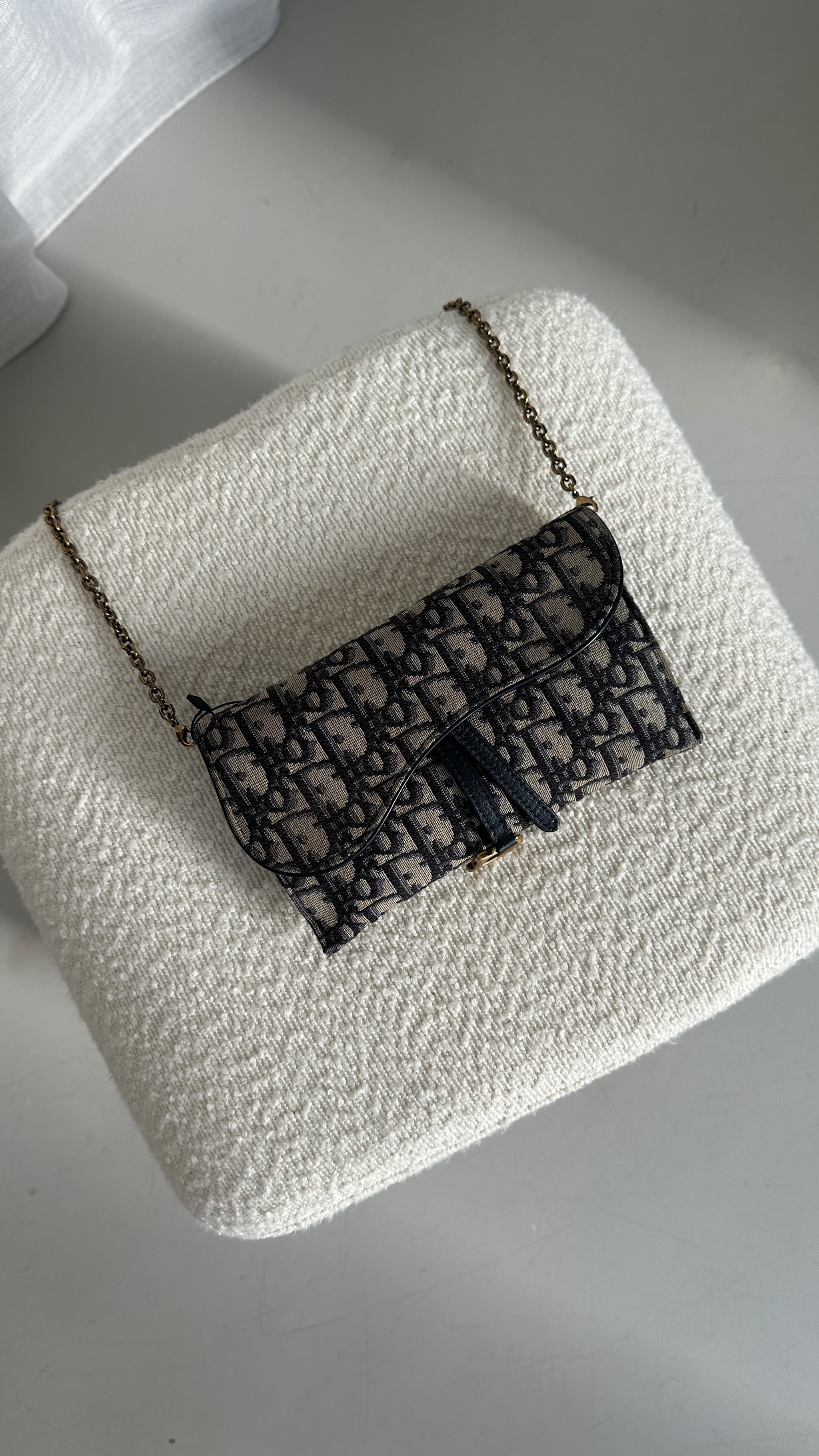 Christian Dior Small Saddle Pouch with Chain